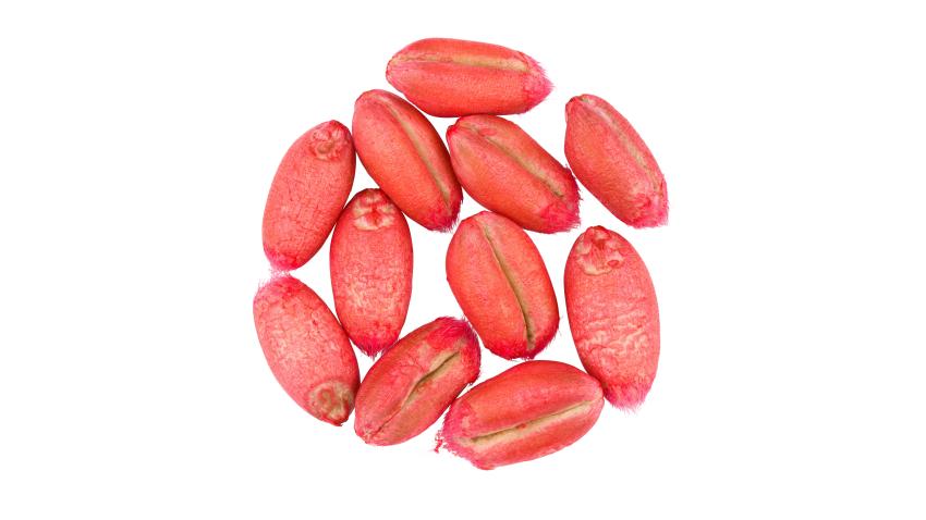 Receipe Development & Quality Assessment | Seedcare APAC