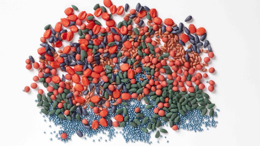 Seedcare Asia